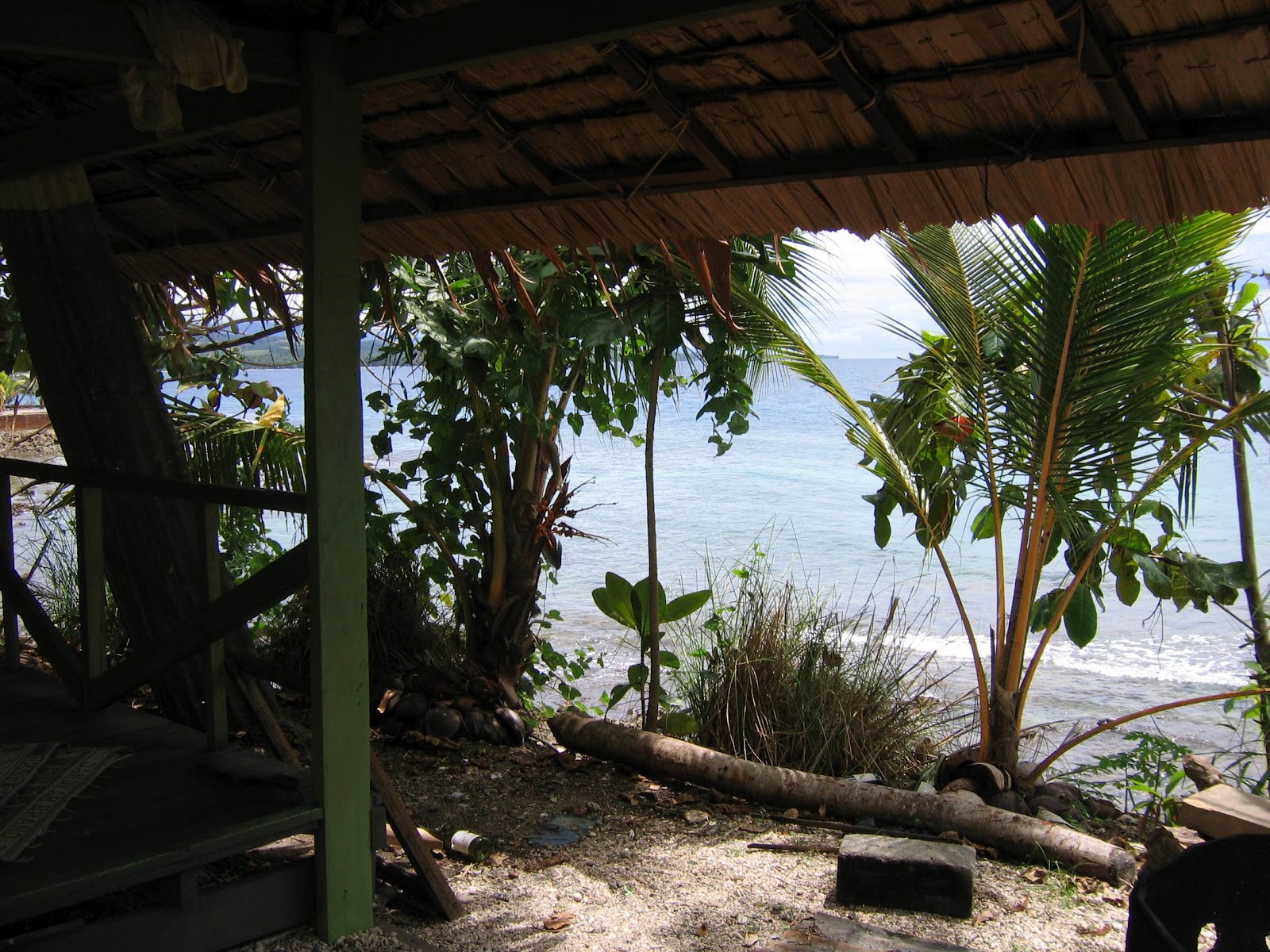 Wilder: Looking Forward, Looking Back