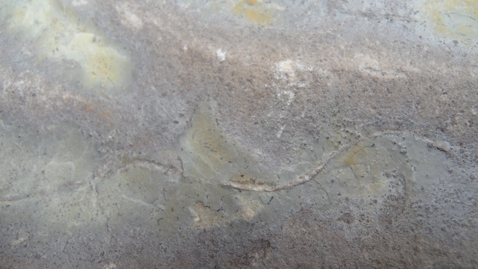 Fossils and Geology of Lanark County, Ontario: From Trails, to Mud ...