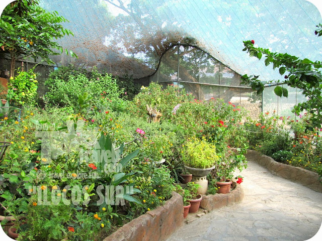 Animals and More at Baluarte in Vigan - Travex Travels - Travel ...