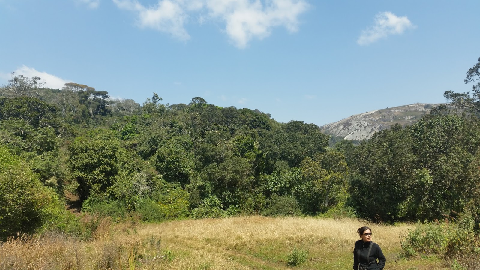 Times in Tanzania: Lugalo Forest Reserve