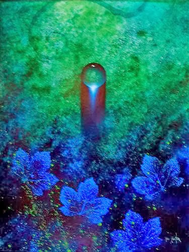 House of Talin: Tim Cantor