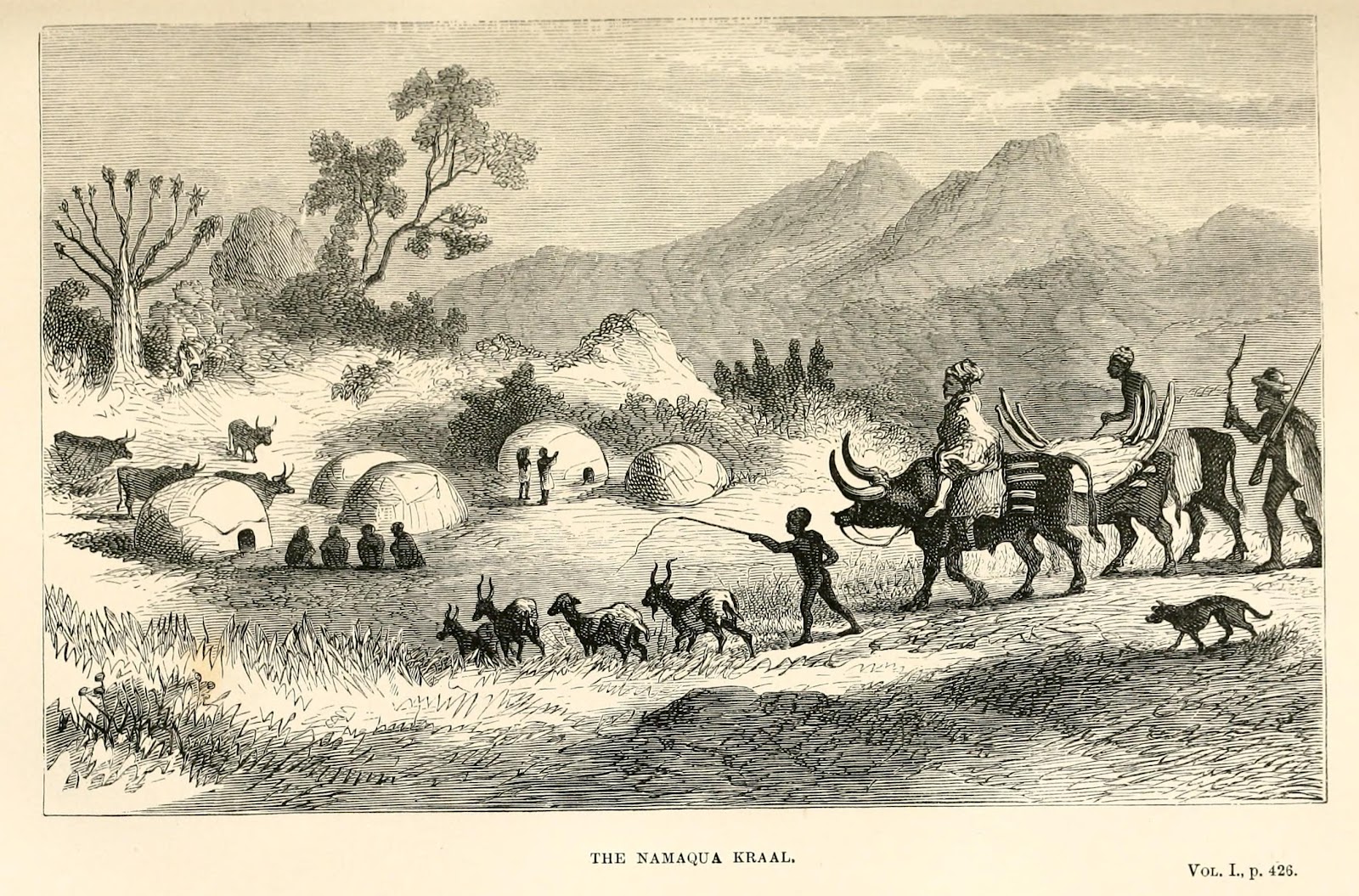 Biodiversity Heritage Library for Europe: Spotlight: Exploration of ...