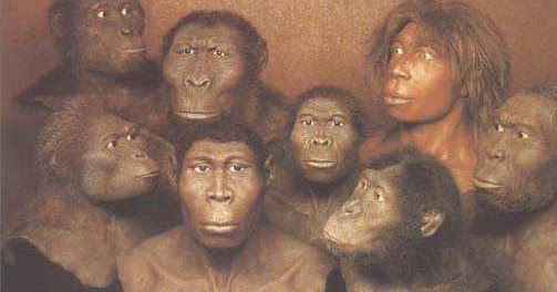 Excelsior: The 10,000 Year Explosion: How Civilization Accelerated ...