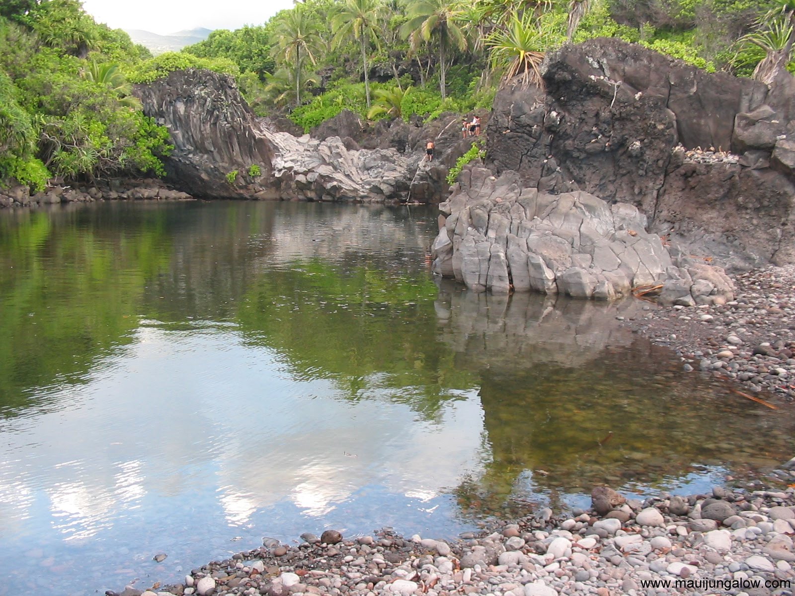 Maui Jungalow: Venus Pool