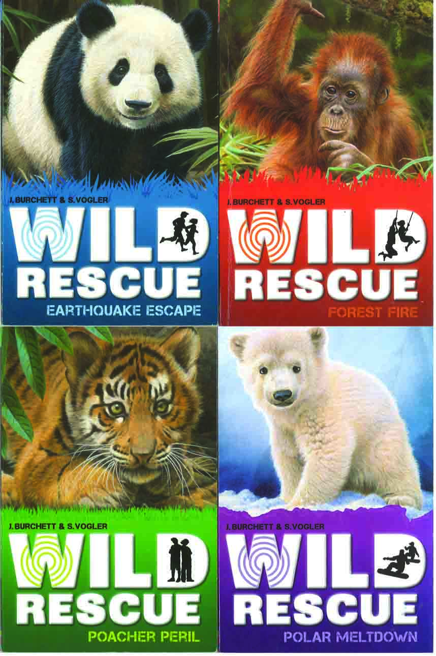 Aki Art: Wild Rescue Series: Forrest Fire