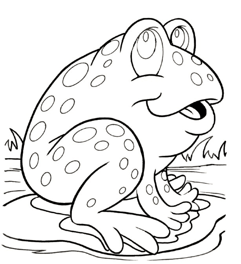 Katak Kolase Mewarnai Hewan Grenouille Sketsa Zaba Pobarvanke Frosch ...