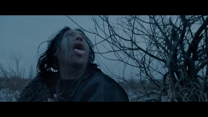 ObjectsInFilm: Object #43 - Snowdrops - The Revenant (2015)