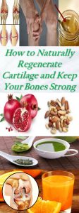 Fashion Blog: How to Naturally Regenerate Cartilage and Keep Your Bones ...