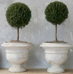 Le Petit Chateau: top topiaries