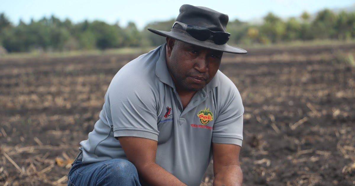 Trukai rice expert applauds Agri Minister’s stance - Papua New Guinea Today