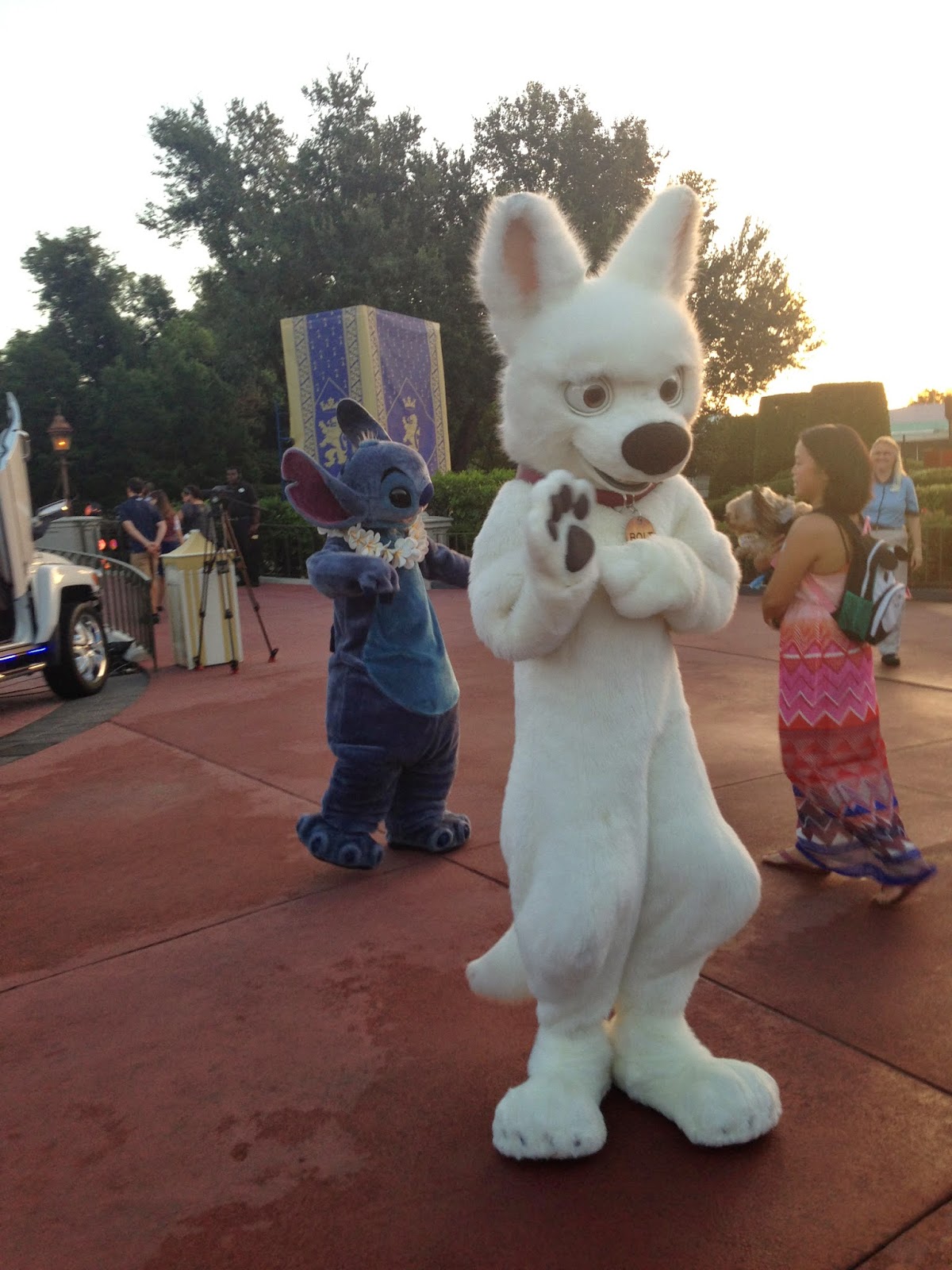 Once Upon a Run: Disney Parks Blog #DisneySide Dog's Day at Magic ...