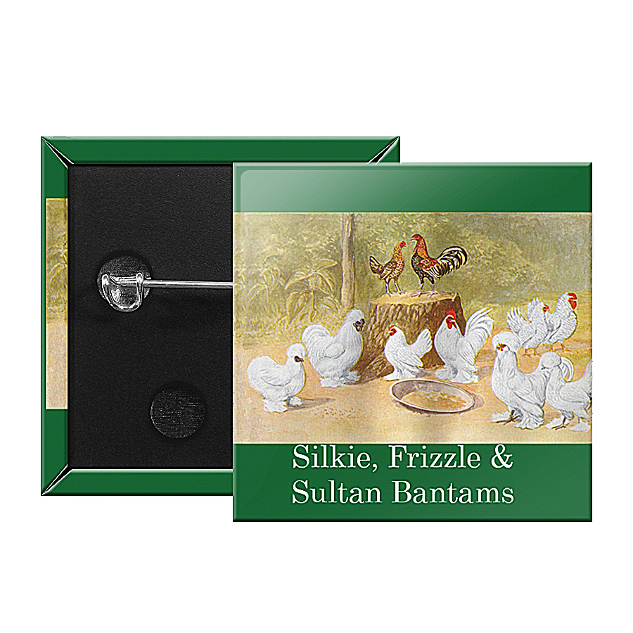 Buttons Featuring Vintage Chicken Illustrations