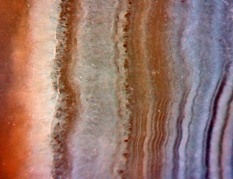 The Agatelady: Adventures and Events: Agate and Jasper Microscope Close Ups