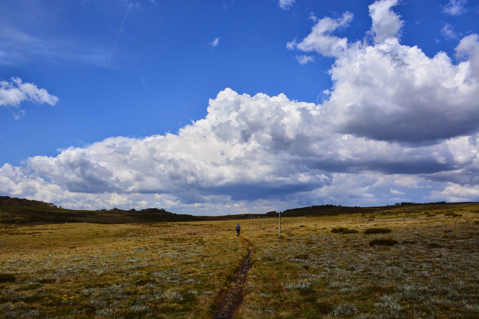 walkabouters club of victoria inc: Falls Creek Summer Camp - Bogong ...