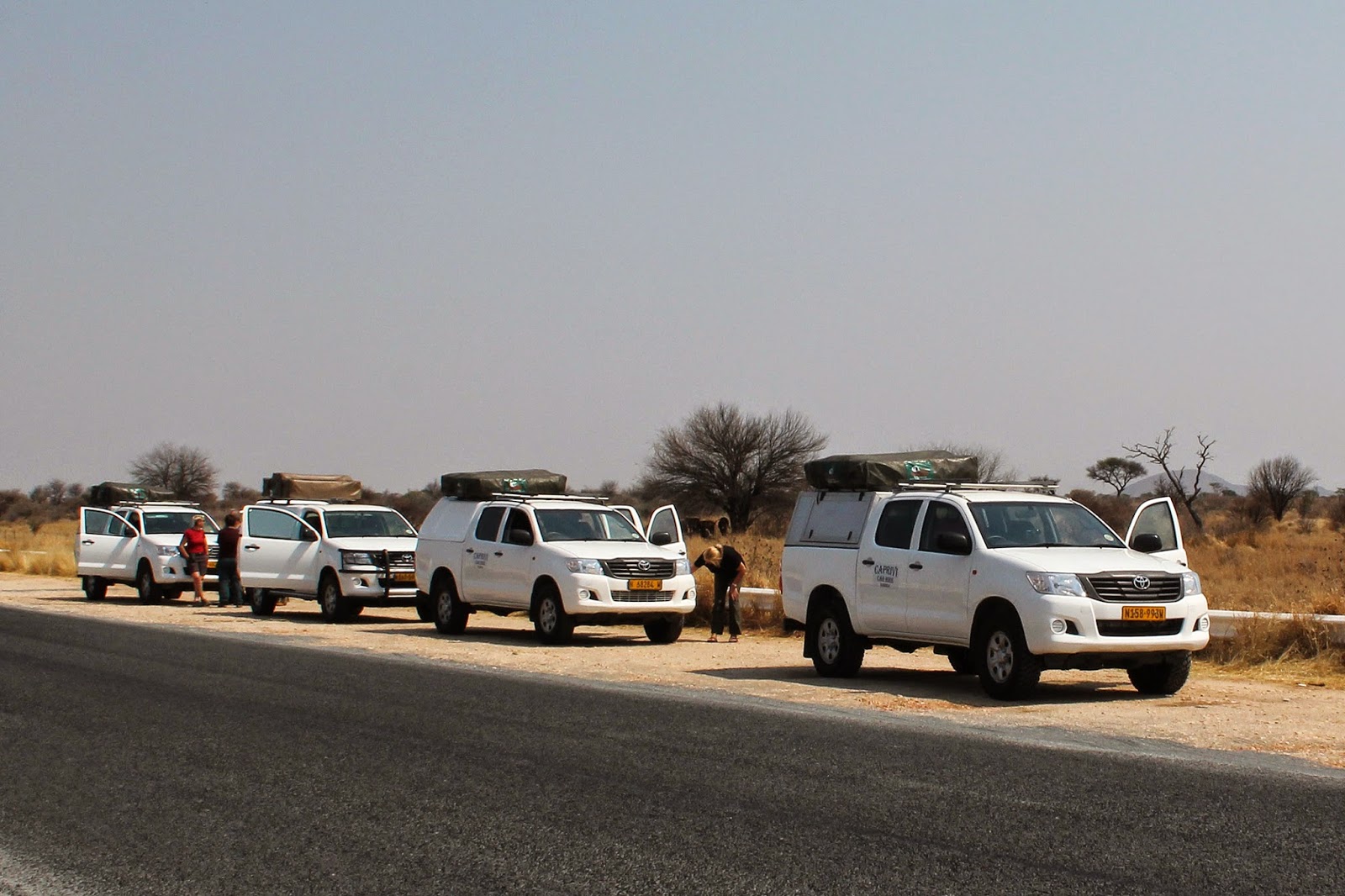 VLIEGBEELD: NAMIBIË-BOTSWANA-ZIMBABWE 2014.