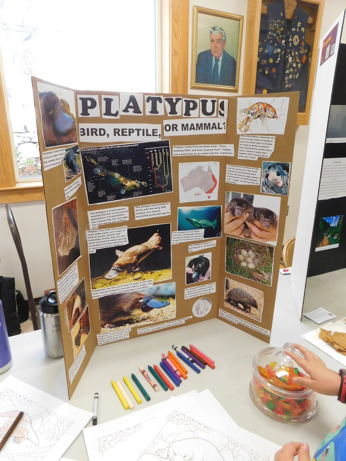 Attending Our Science Fair