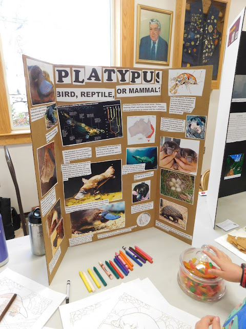 Attending Our Science Fair