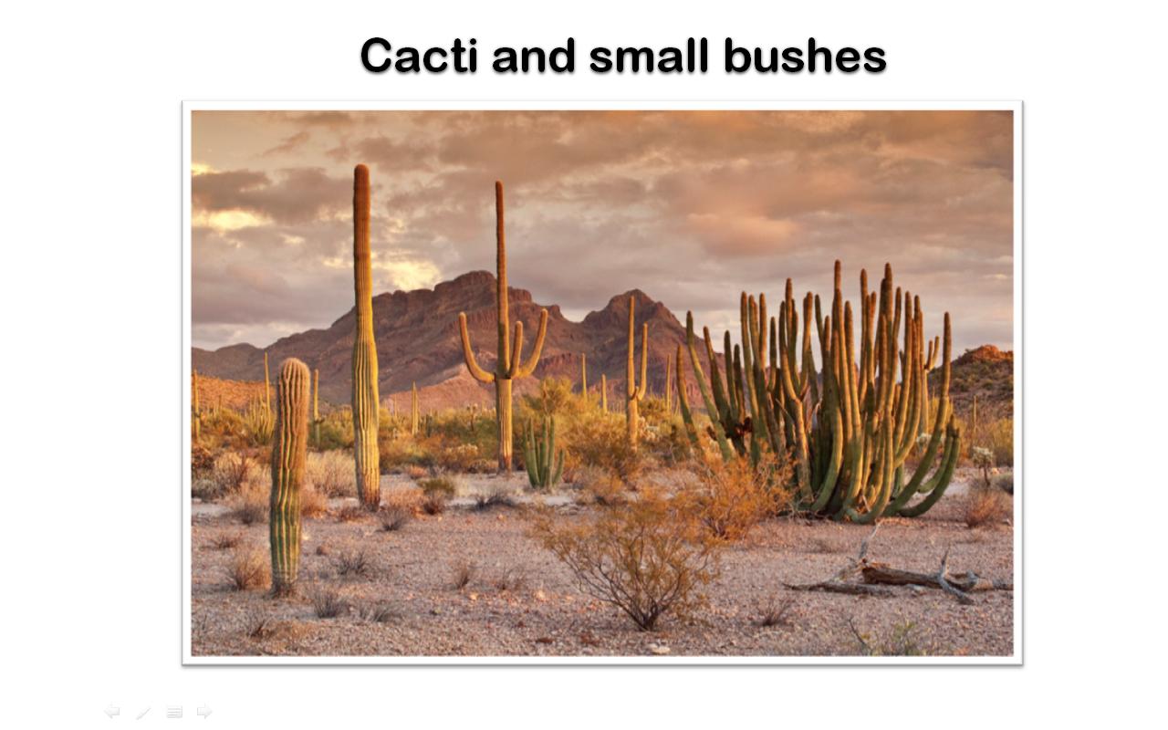 5th Grade - Andrés Segovia: SCIENCE: UNIT 2 - Deserts