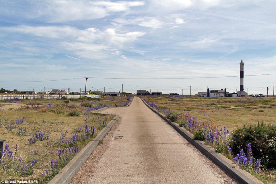 World Of Technology: Britain's only DESERT (29 Pics)