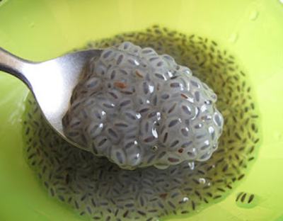 b harian: Khasiat Biji Selasih Yang Perlu Anda Tahu