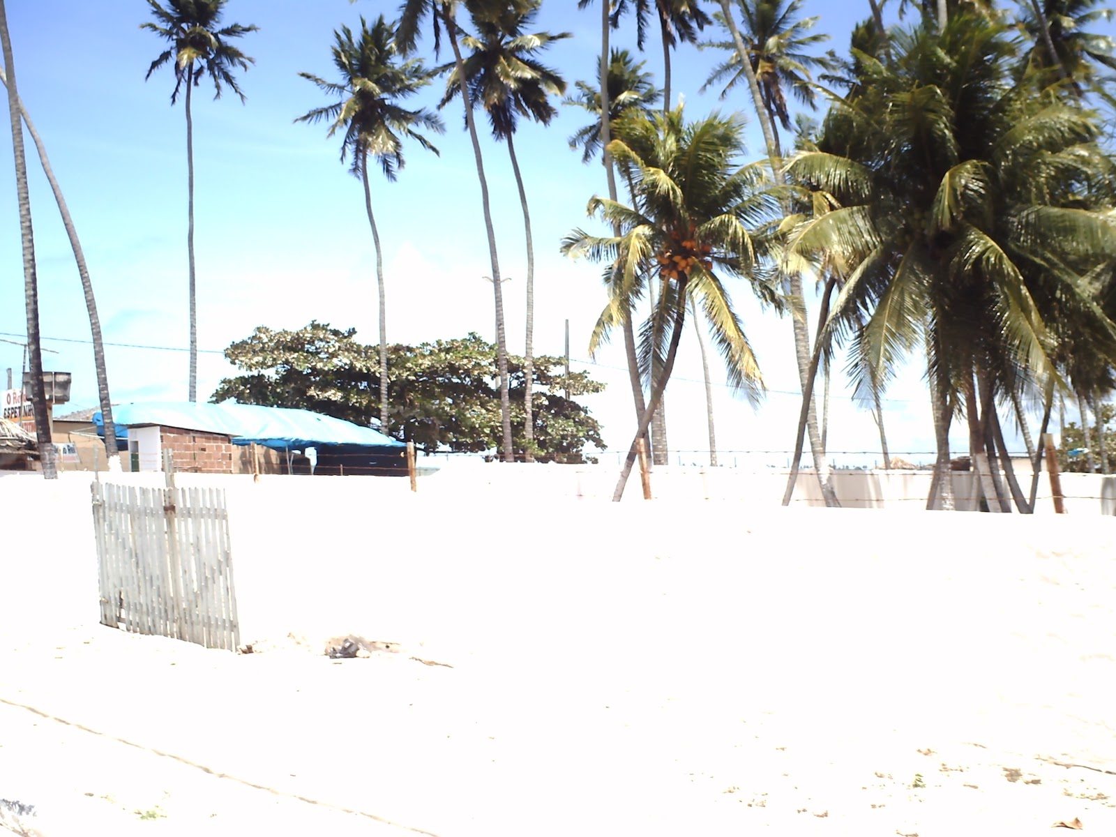 LUGARES ONDE PASSAMOS!!!!: PRAIA DE PITIMBU