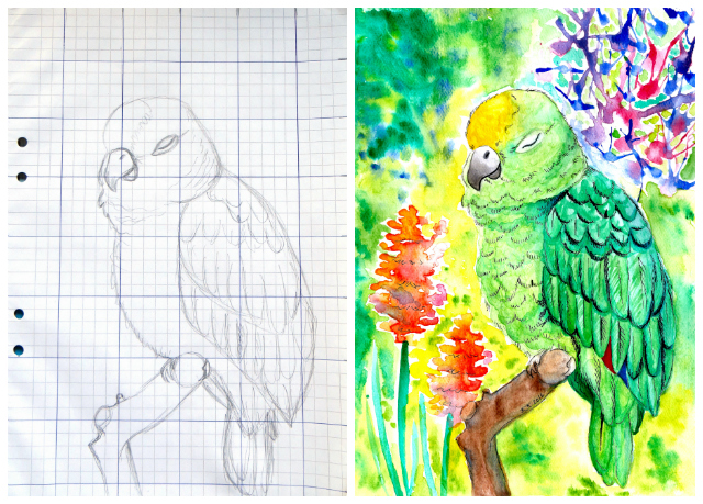 How to Draw from a Photo Using the Grid Method