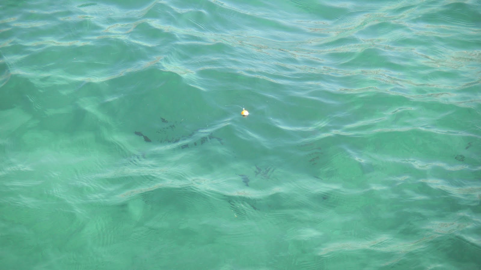 The Atlantic Divides....: Long Beach Club, Beirut