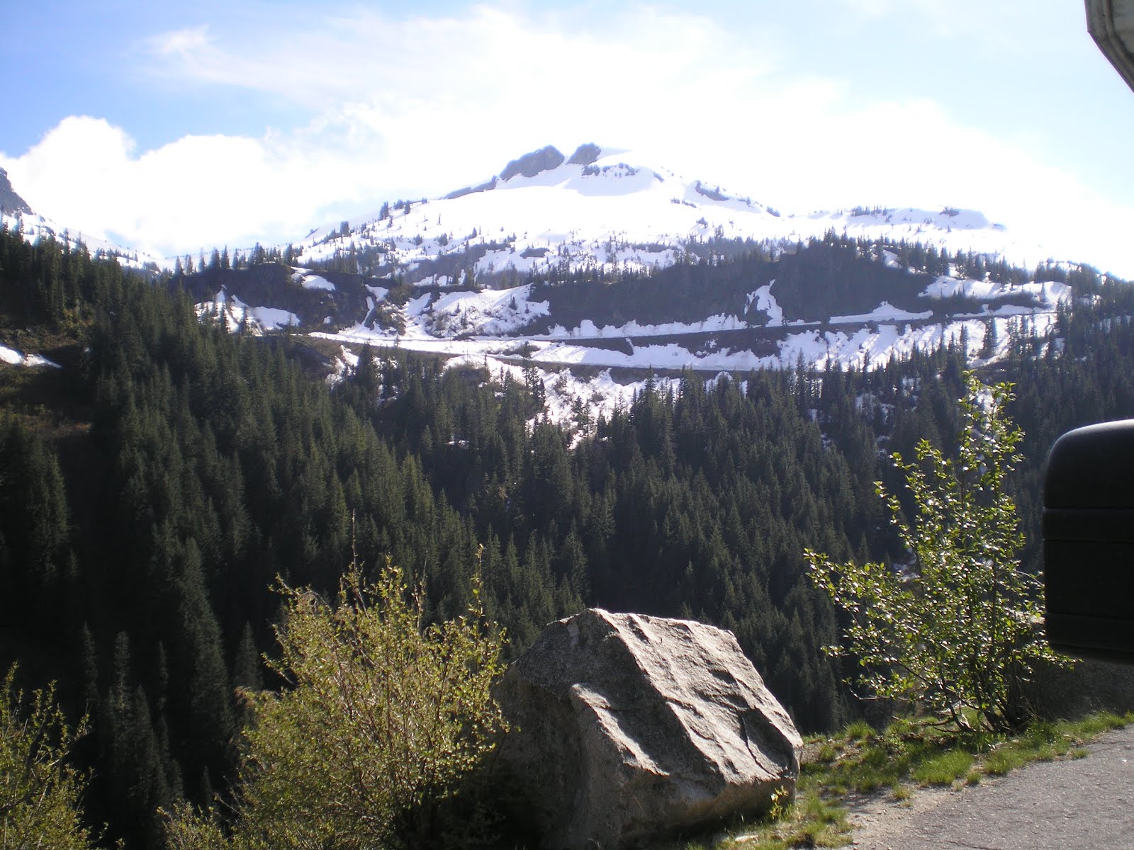 The Road Genealogist: Preview of Mount Ranier National Park Photos