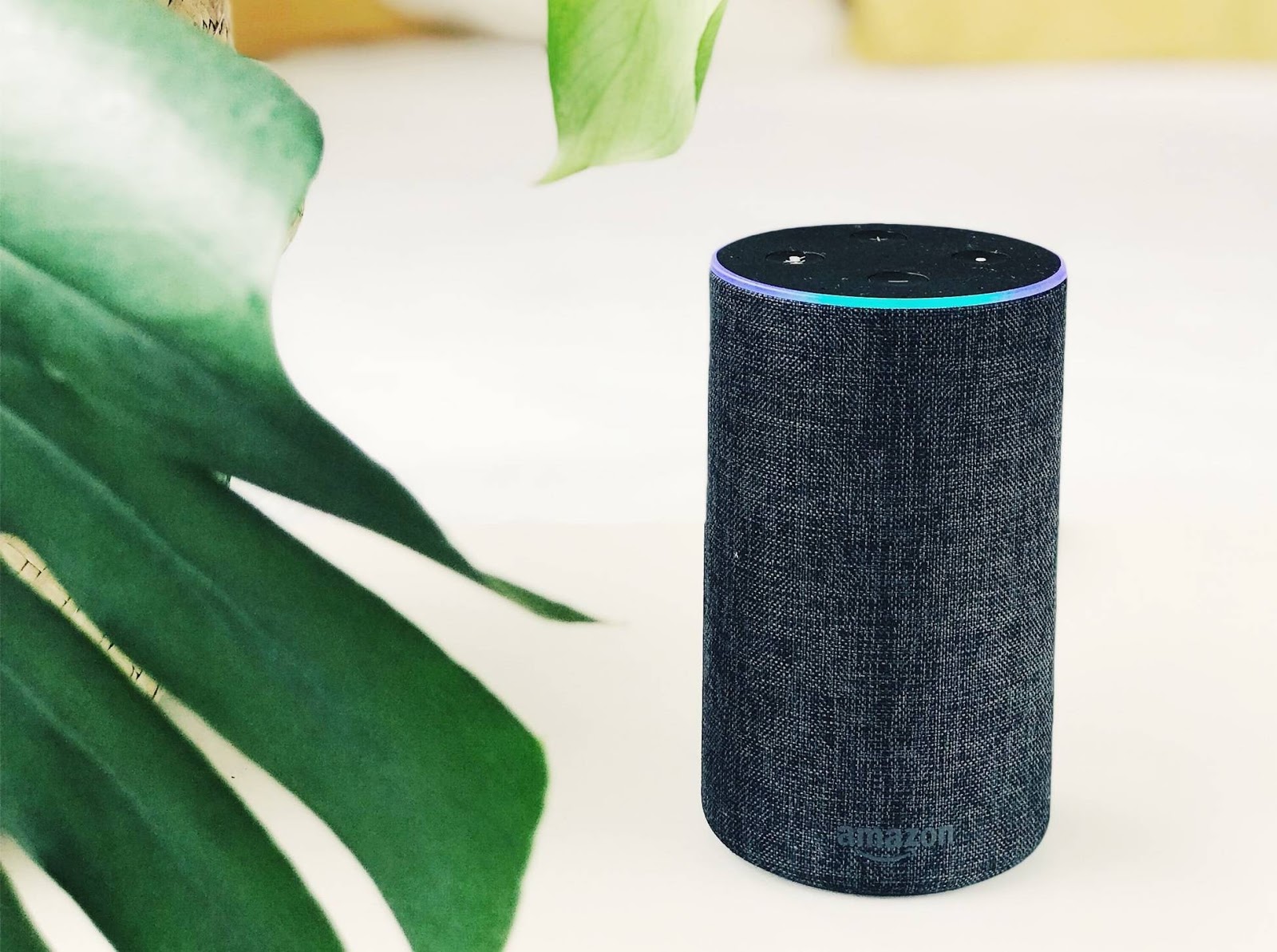 Amazon’s Revelation Makes Alexa Users Concerned about Their Privacy