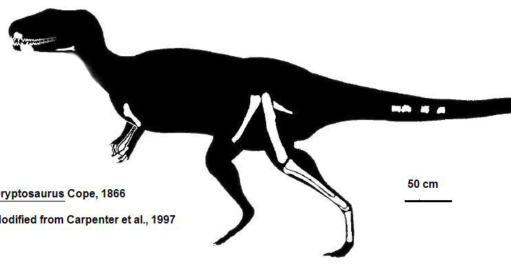 Dinosaur of the Week: The Amazingly Empty Skeleton