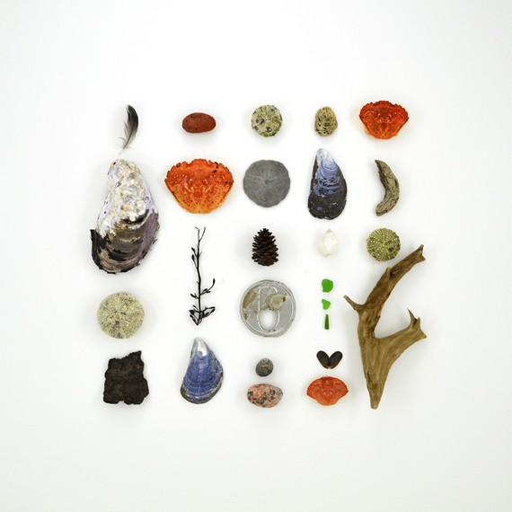 the art room plant: Jennifer Booher