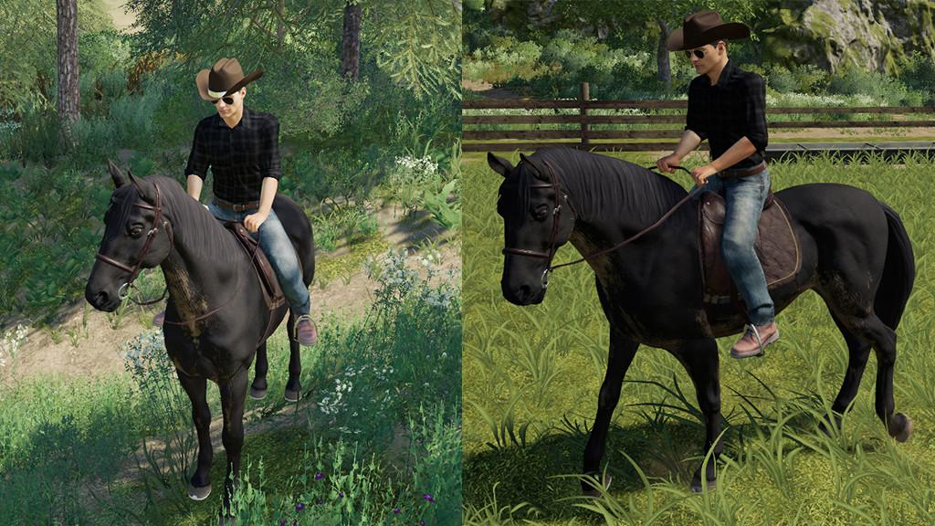 FS19 Cowboy Hat v1.0 - FS 19 & 22 USA Mods Collection