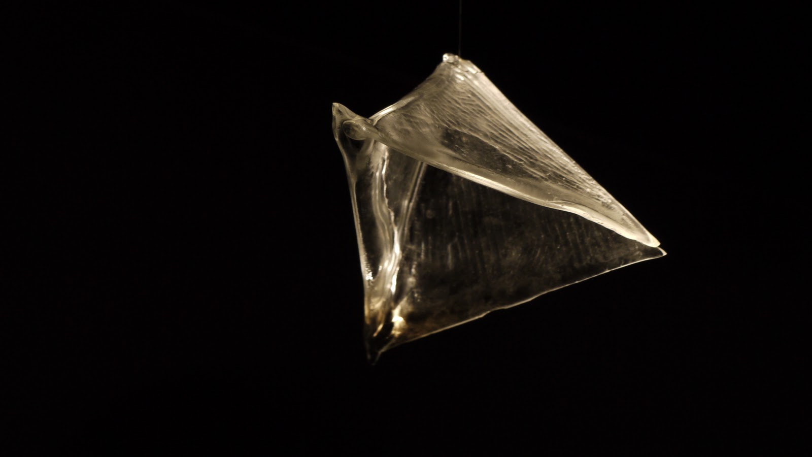 1070415301 Portfolio