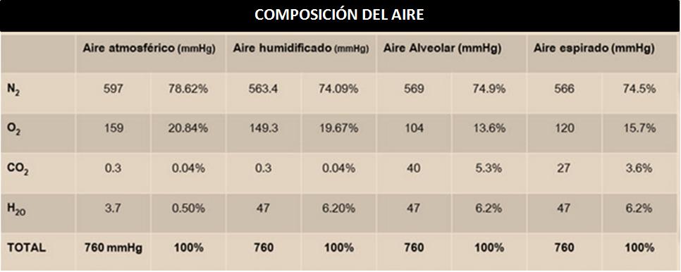 portafolio de fisiologia basica!: COMPOSICIÓN DEL AIRE