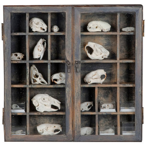 Intro to 3D: Box Project