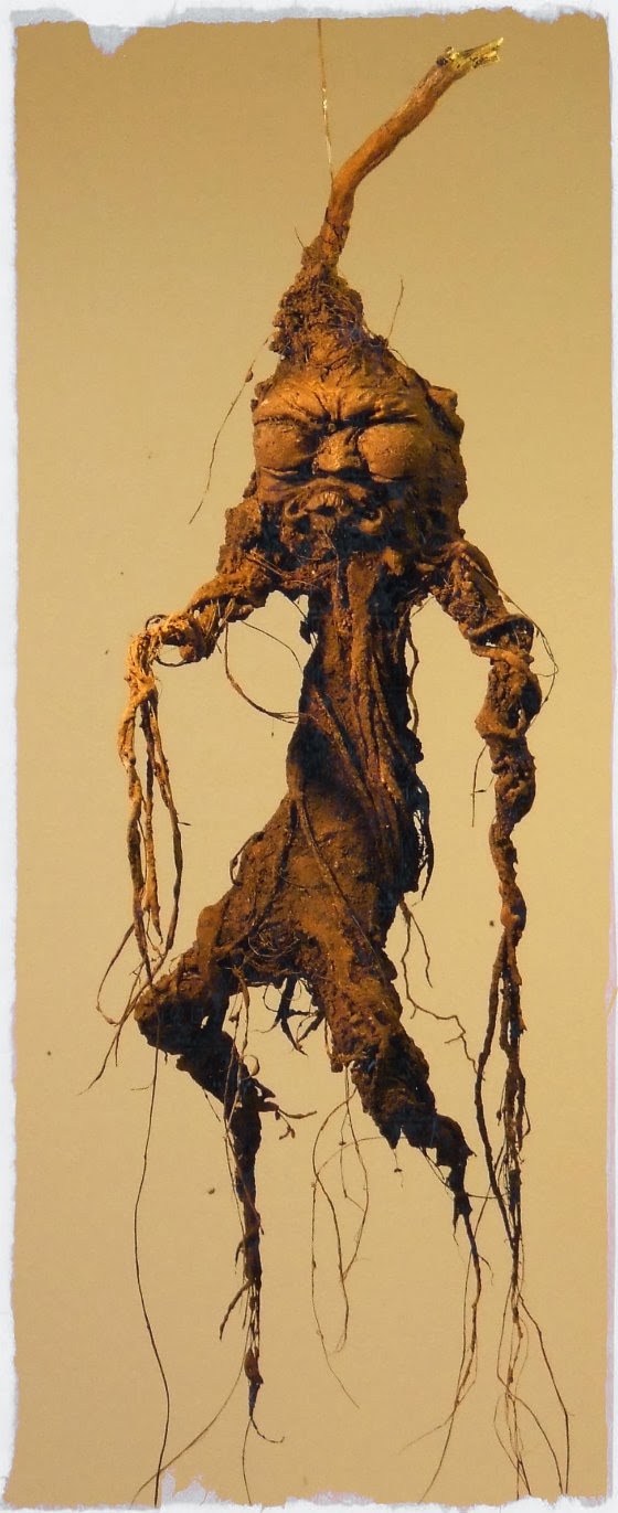 La Mathomería: Mandrágoras