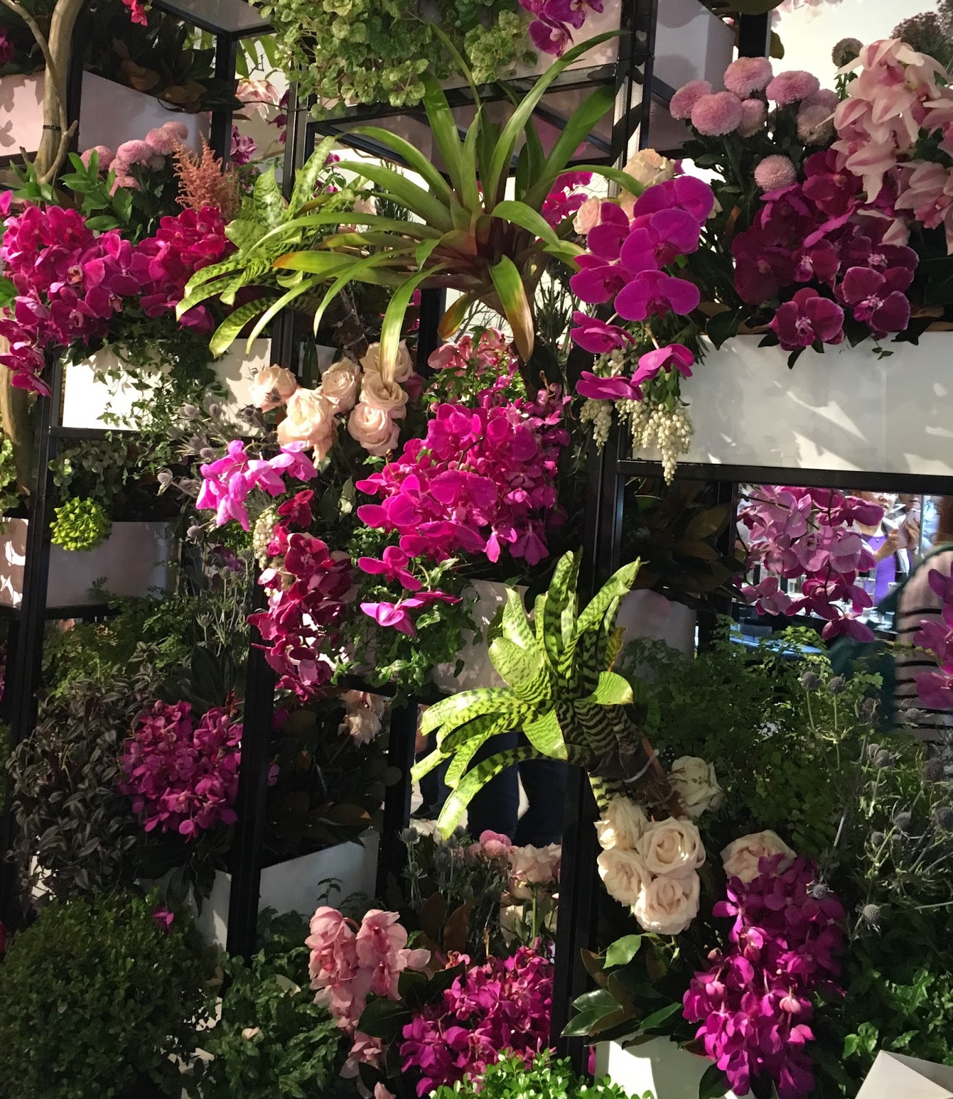 Urban Flower: David Jones Sydney 2016 Flower Show