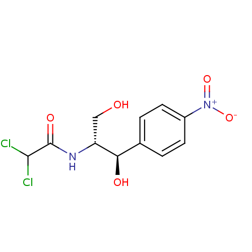 Pharmacology Of Chloramphenicol