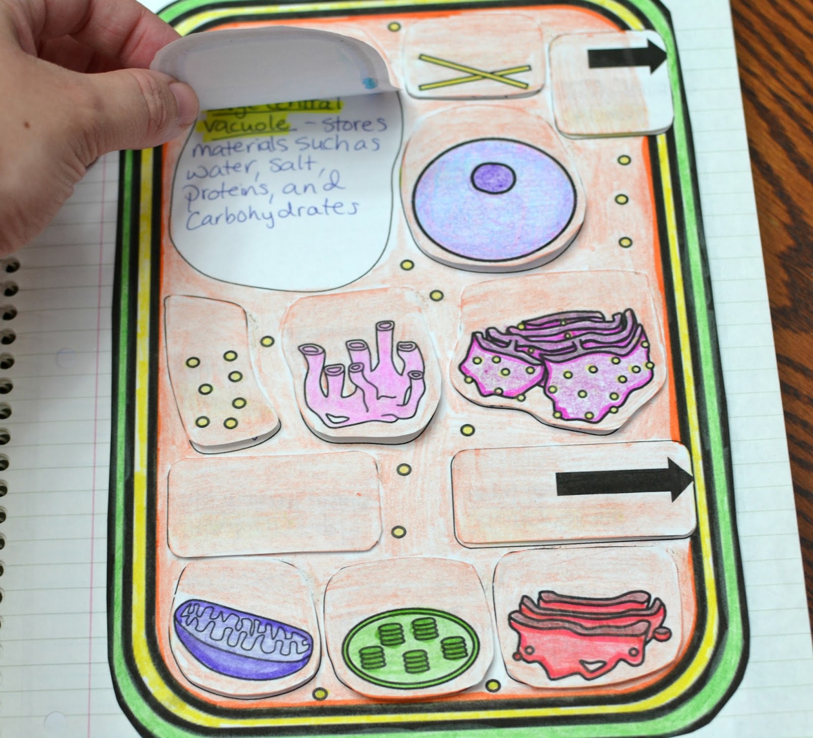 Math in Demand: Science Interactive Notebook - Cells