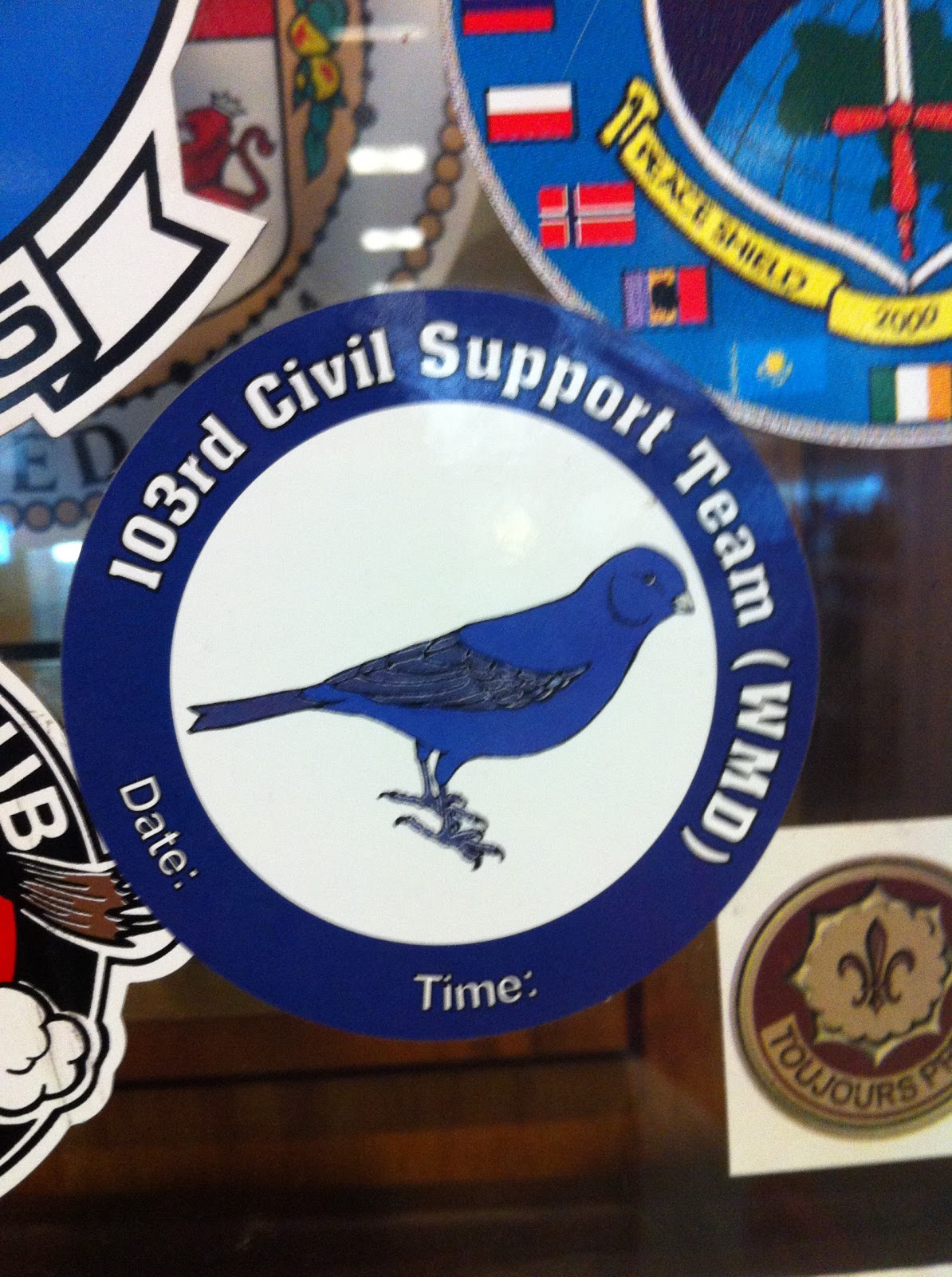 The Birdist: Birds at Large: Military Unit Insignia