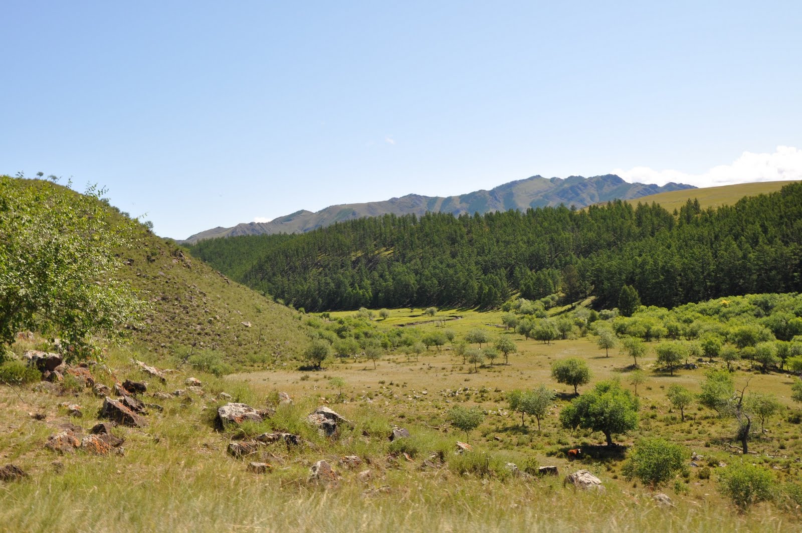 Moilt Ecolodge, Bulgan, Mongolia: around river Balig