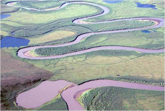 geografi lingkungan: Danau Tapal Kuda (Oxbow Lake)