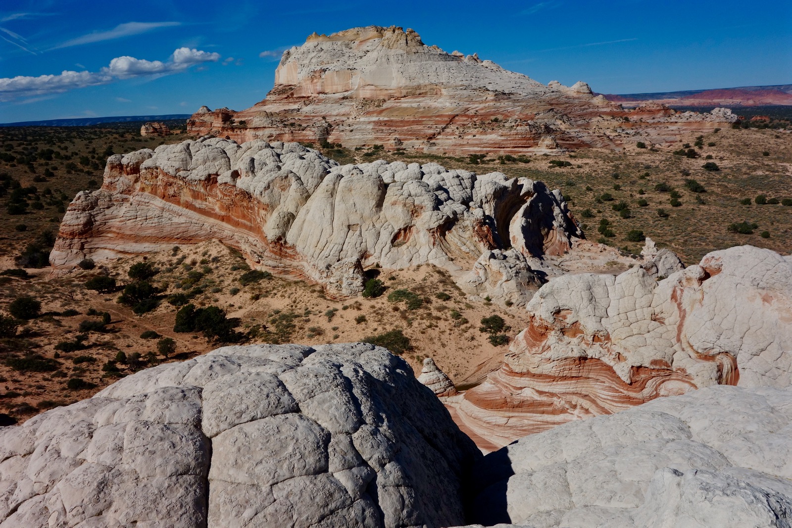 Earthline: The American West: White Pocket: Vermilion Cliffs National ...