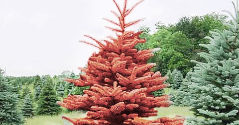 Show do Medo: SCP Foundation - SCP-867