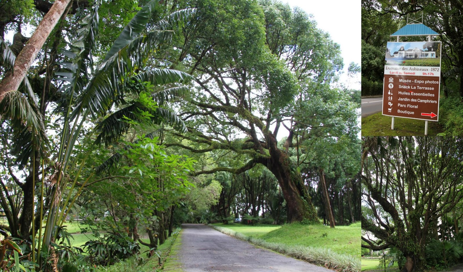 Voyages et Expériences : Maurice: Le Domaine des Aubineaux, Demeure ...