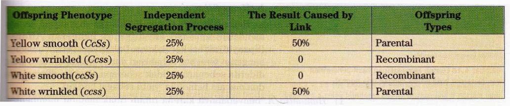 Gene Linkage-Parental and Recombinant Type Offsprings - New Science Biology