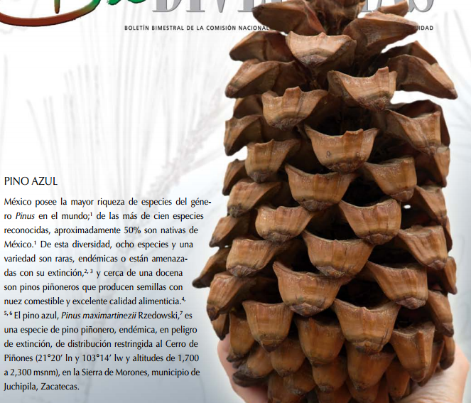 Consultoria Experta en negocios de Agricultura, Ganaderia y Forestales ...