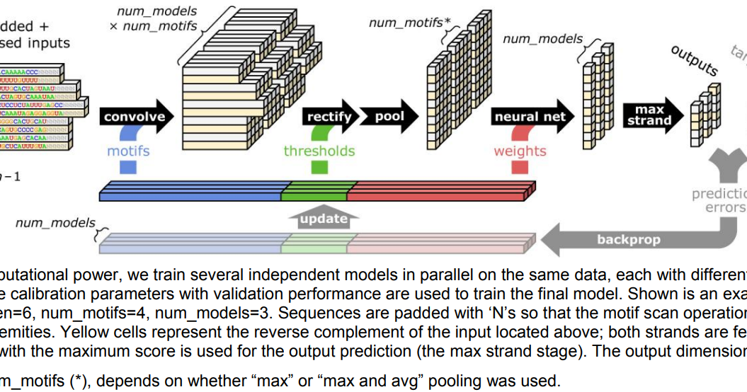 Sciency Stuff: Motif Discovery for DNA- and RNA-binding Proteins by Deep Learning