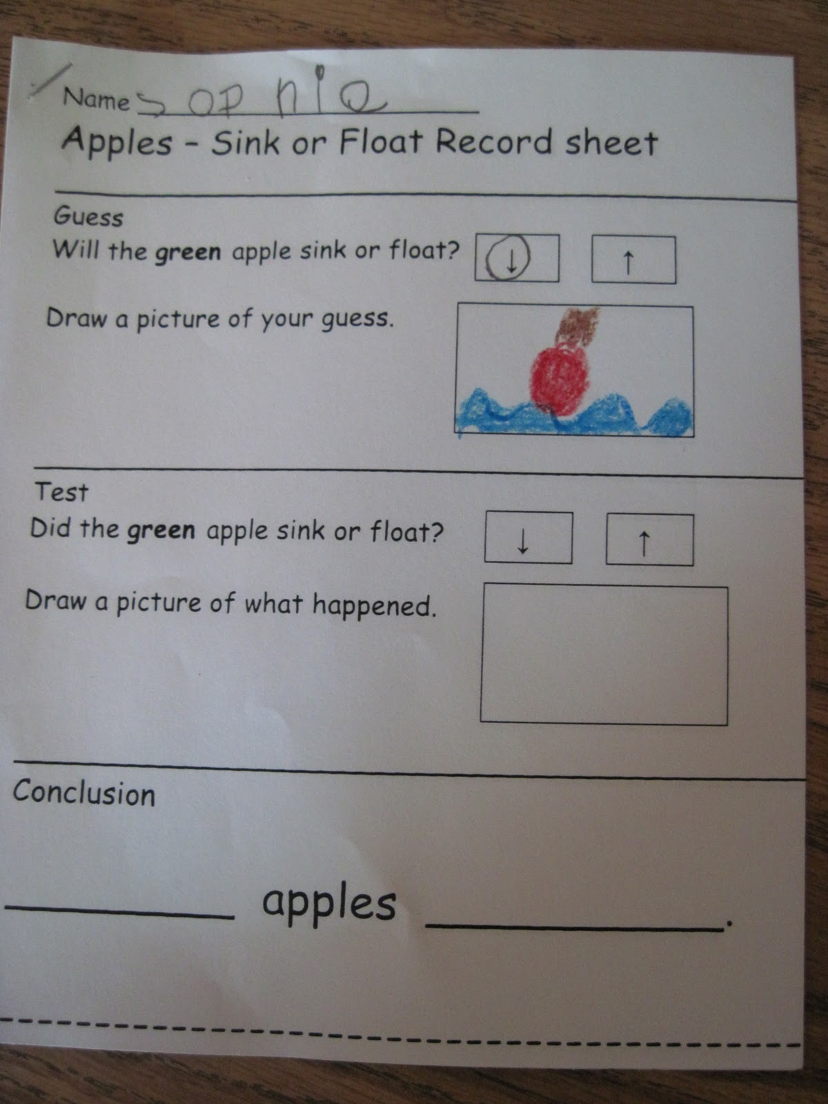 Mrs. Teeler's Blog: Do Apples Sink or Float?