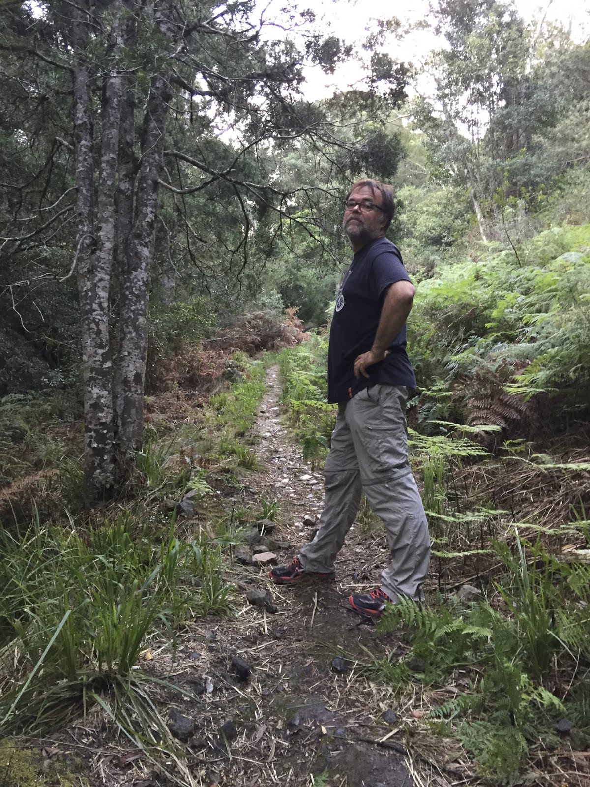 in my neck of the woods: Dag Ses: Grootvadersbos Natuurreservaat